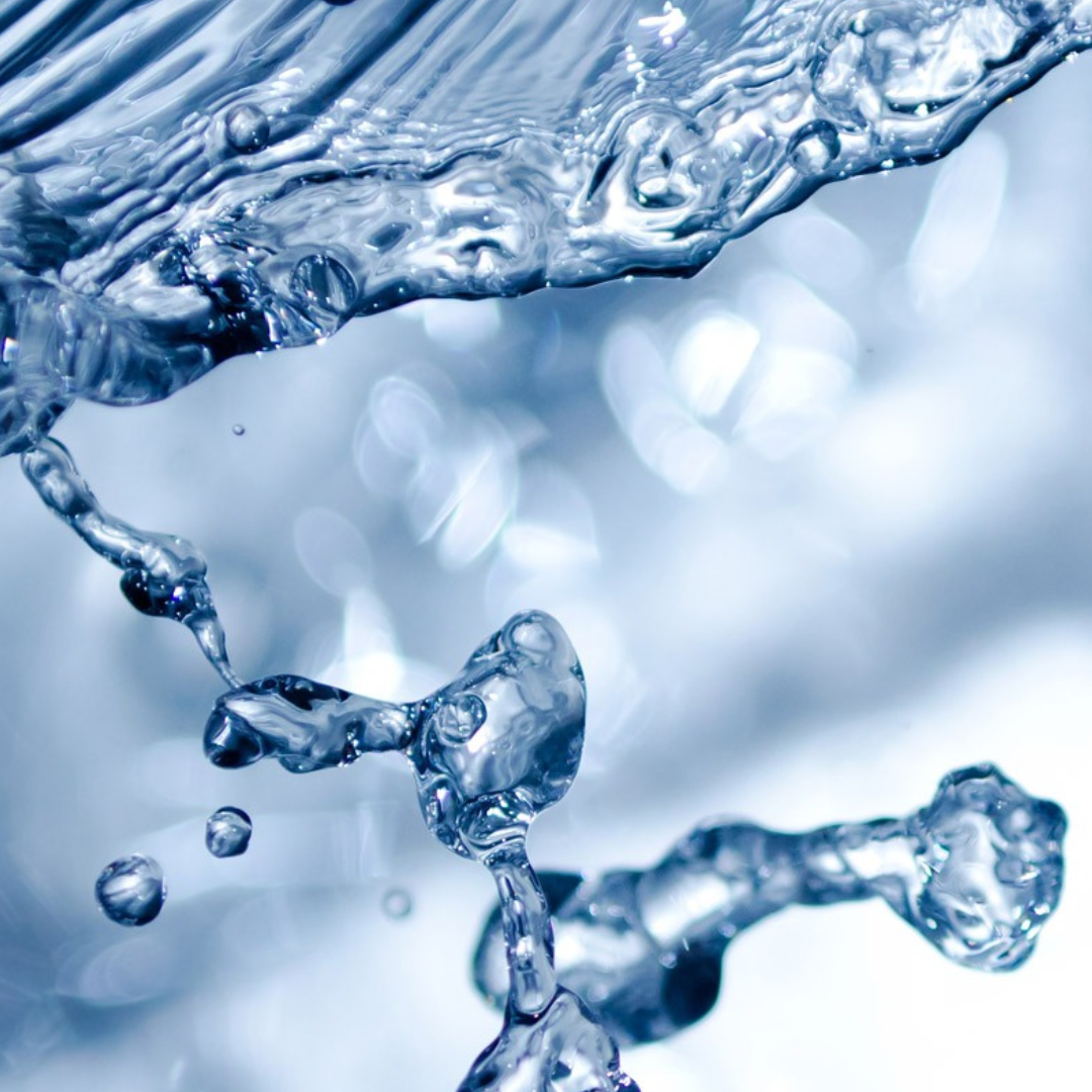 Living Water – Ann McCarthy MD